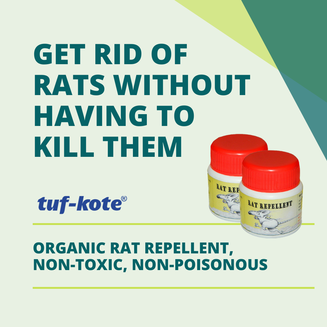 tuf-kote® Herbal Rat Repellent, Non-Poisonous, Lasts for upto 90 days,